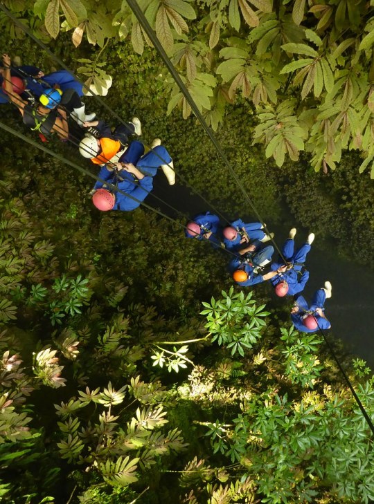 Waitomo Adventures - Caving, Abseiling & Black Water Tours