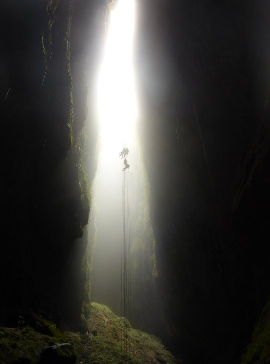 Lost World Epic All Day Adventure | Adventures - Waitomo Adventures