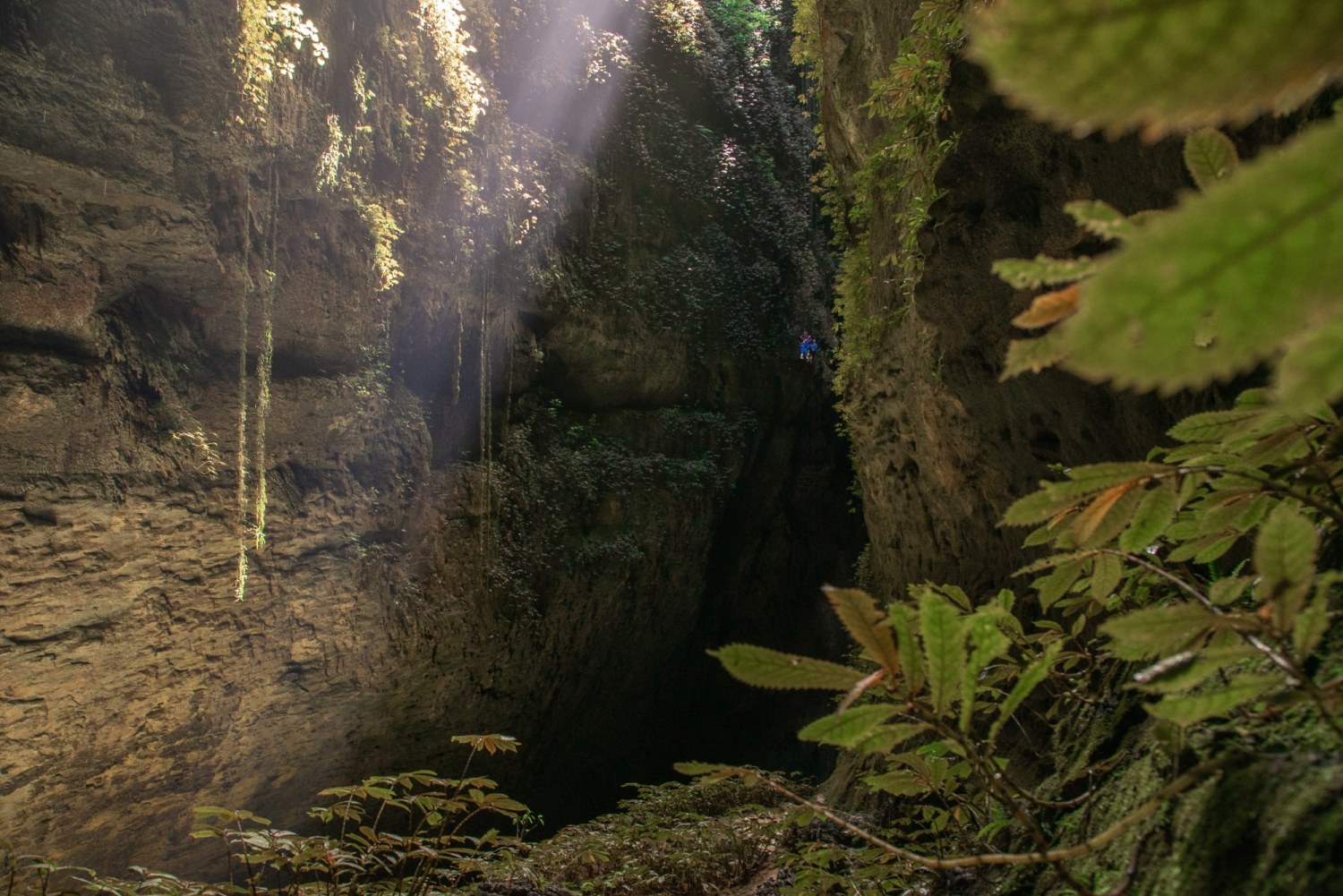 Adventures - Waitomo Adventures