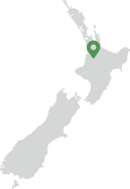 Lost World Epic All Day Adventure | Adventures - Waitomo Adventures