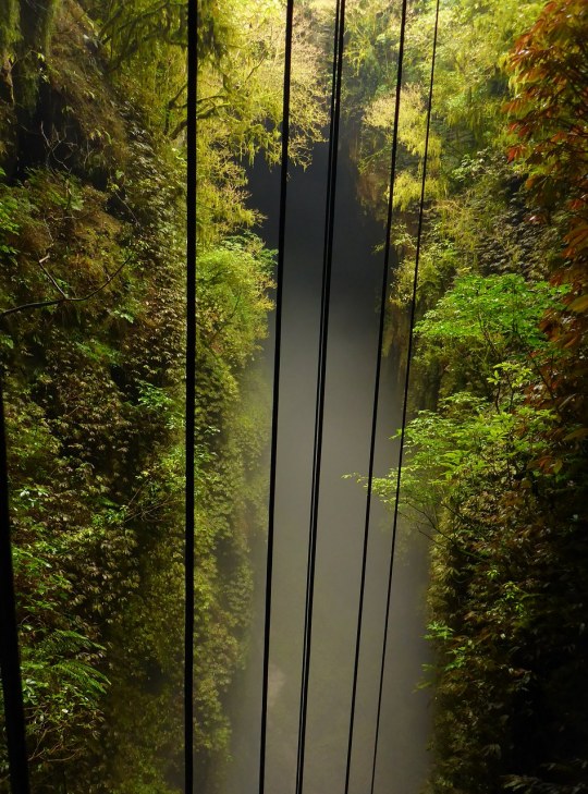 Waitomo Adventures - Caving, Abseiling & Black Water Tours